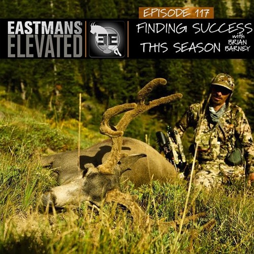 Stream episode Episode 117: Finding success this season solo with Brian ...