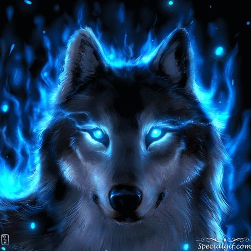 Stream 14..Fernando Chango Prohibido Enamorarse by DJLOBO | Listen ...