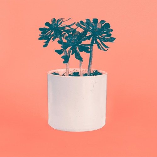 Stream Psycho Lovers TAYLOR VOX by Local Natives | Listen online for ...