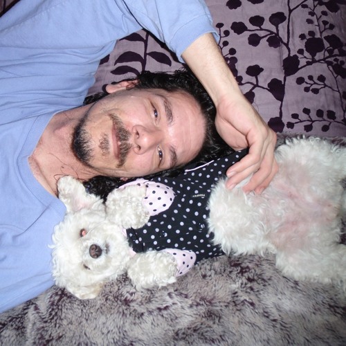 Stream episode #122: Popping Minds With Freeman Fly by Tin Foil Hat ...