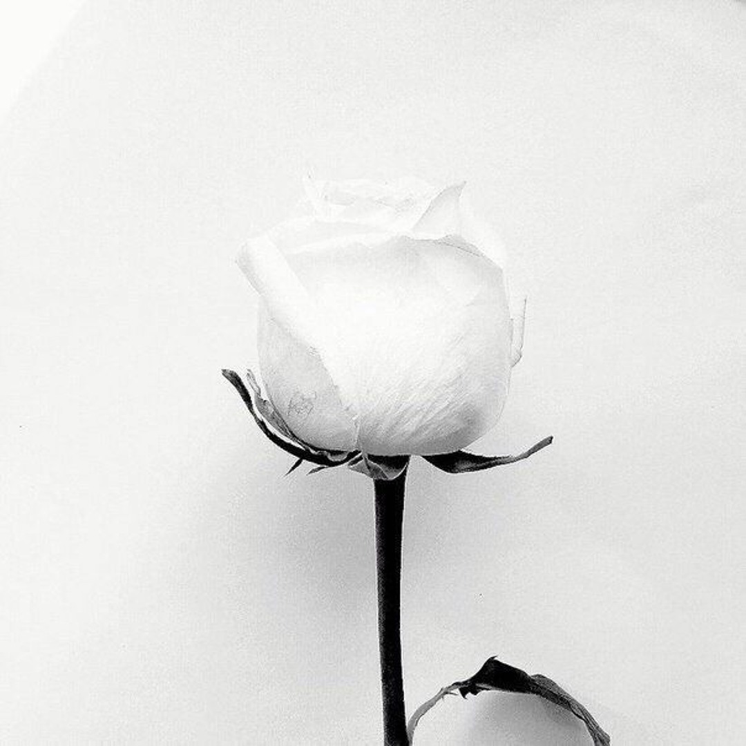 Stream Tommee Profitt - In The End (Mellen Gi Remix) Fleurie Cover ...