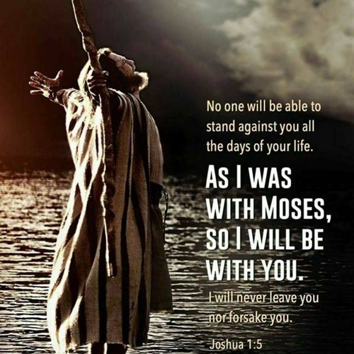 Stream Des | Listen to DR DES SINCLAIR playlist online for free on ...