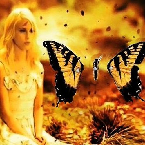 Paramore Brick By Boring Brick Wallpaper