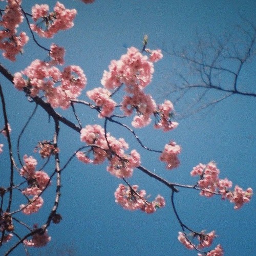 Stream Shiloh Dynasty - Im Sorry (cover)by. Mulan by Mulan1998 | Listen ... Stream Shiloh Dynasty - Im Sorry (cover)by. Mulan by Mulan1998 | Listen ...