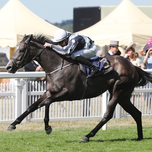 Stream Horse Racing Ireland | Listen to Jessica Harrington On Alpha ...