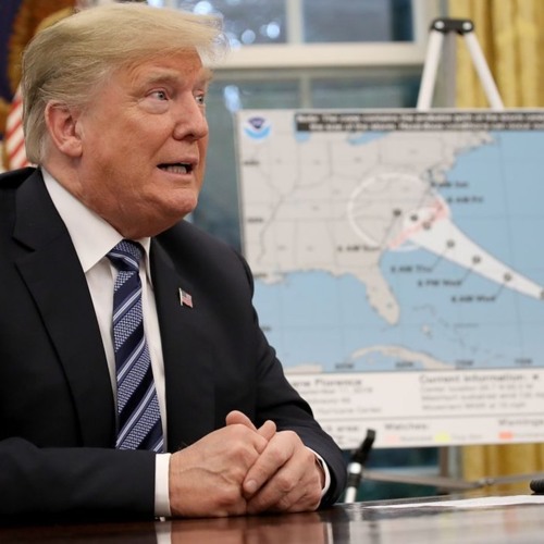 Stream The Bob Cesca Show: Duty Station by Buzz Burbank | Listen online ...