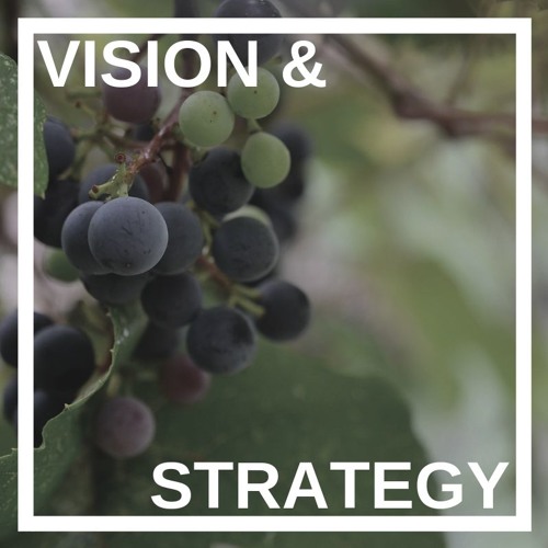 Stream ruddjb | Listen to True Vine Vision + Strategy playlist online ...