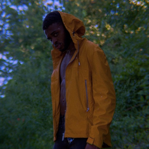 Stream Nectar (feat. Hayden Stanford) by Chuck Islands | Listen online ...
