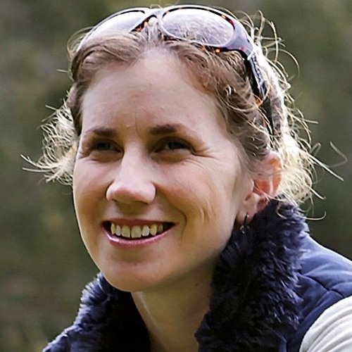 Stream Verity Morgan-Schmidt: we need a national plan on farming and ...