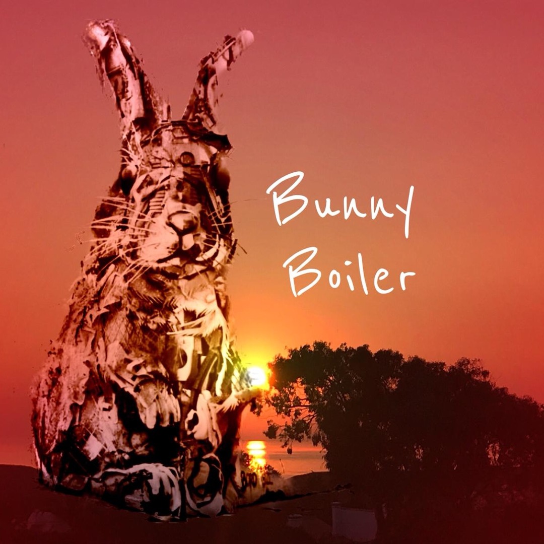 Stream Bunny Boiler by tubebackr | Listen online for free on SoundCloud