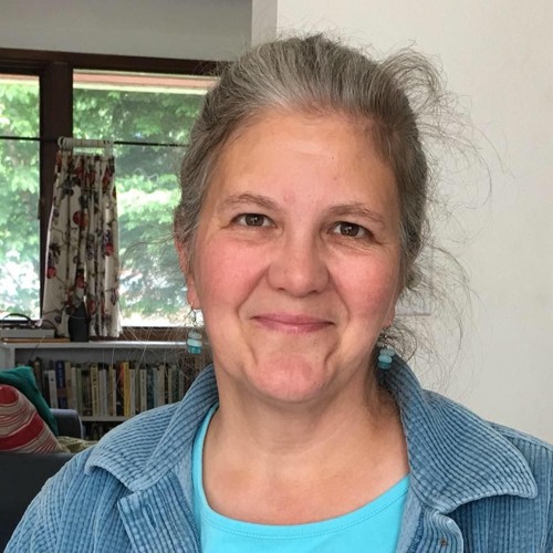 Stream CBJ Assembly Candidate Michelle Bonnet Hale Meets with President ...