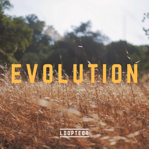Stream Evolution by Looptect | Listen online for free on SoundCloud