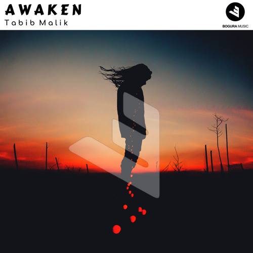 Stream Tabib Malik - Awaken by ereh | Listen online for free on SoundCloud
