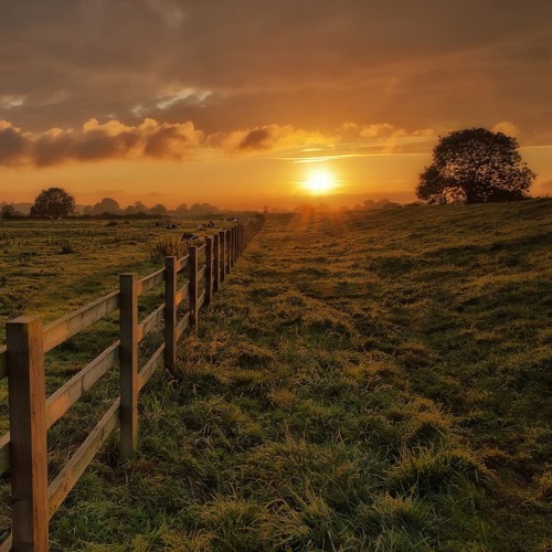 Stream Malachi Bush | Listen to Genisis playlist online for free on ...