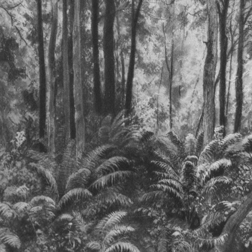 Stream Forest Magic by Evan Gunderson | Listen online for free on ...