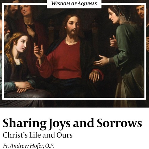 Stream Sharing Joys and Sorrows: Christ's Life and Ours (Pt. 2) | Fr ...