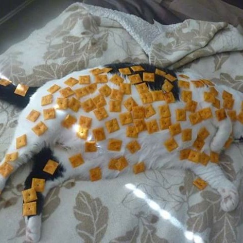 Stream Chris. // charlie. ((()))) by Crispy Chris | Listen online for ...