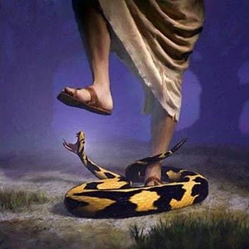 Stream Genesis 3 The Fall The Curse And The Promise by Jerad File ...