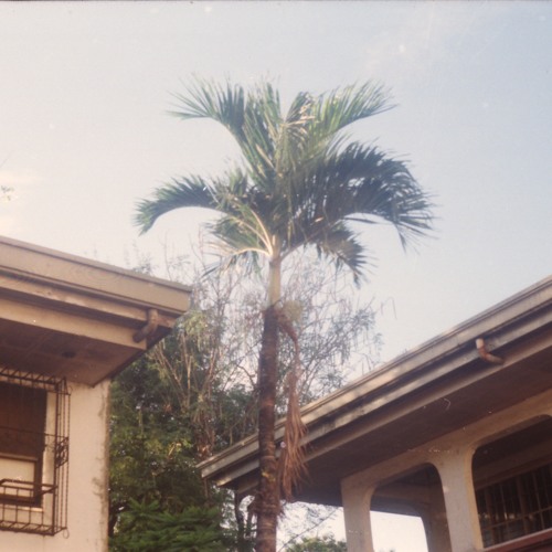 Stream Manila Revival - D i w a t a ? - Demo by Ivan Samson | Listen ...