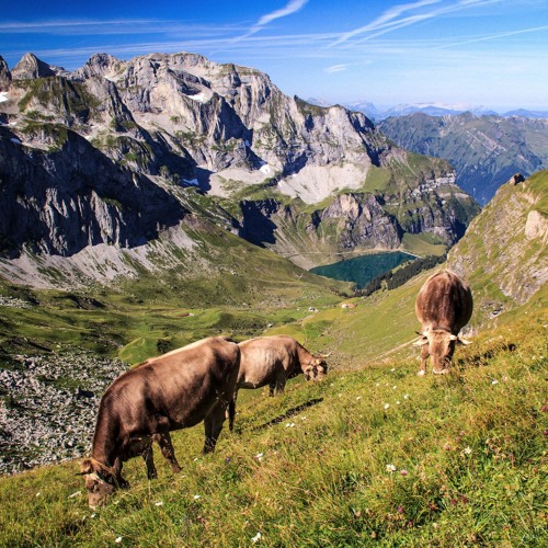 Stream Der Klang der Alpen by Melchior Magazin | Listen online for free ...