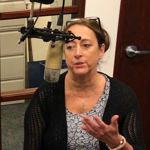 Stream Episode 55: 45, with Laura Anglin by What's The [DATA] Point ...