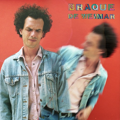Stream Cracki Mix #38 - Braque de Weimar by Cracki Records | Listen ...