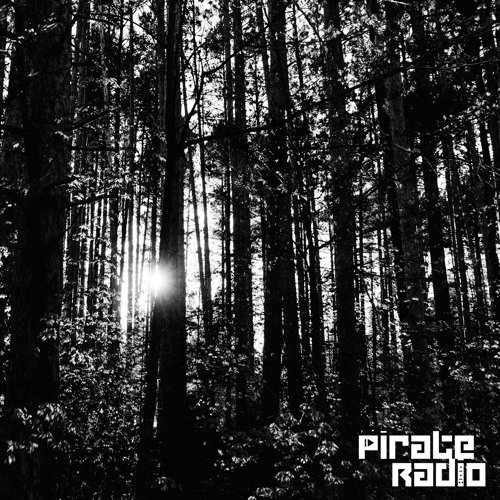 Stream 16 Bit Lolitas - Stardust (Pirate Radio Version w Guitars) by ...