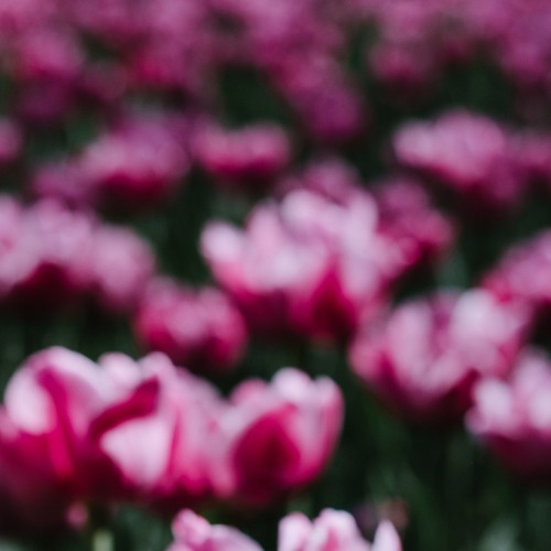 Stream Home by Evan Little | Listen online for free on SoundCloud