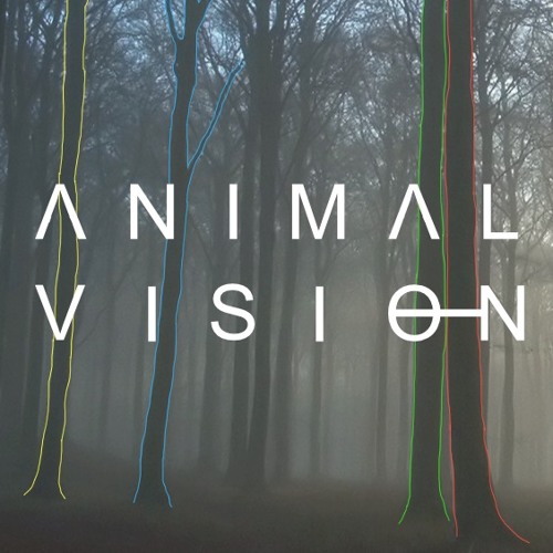 Stream Animal Vision | Listen to Animal Vision playlist online for free ...