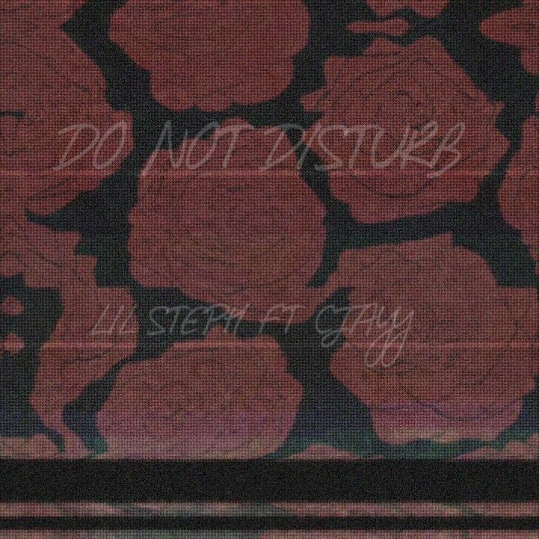 Stream Do Not Disturb Ft. Lil.Steph🌹 X CJAYY by CJAYYPOINT0 | Listen ...