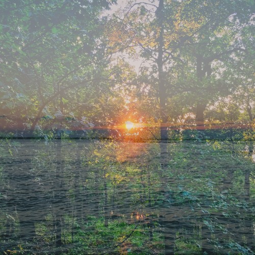 Stream Green Is The Color - Pink Floyd Cover by Zawad Islam | Listen ...
