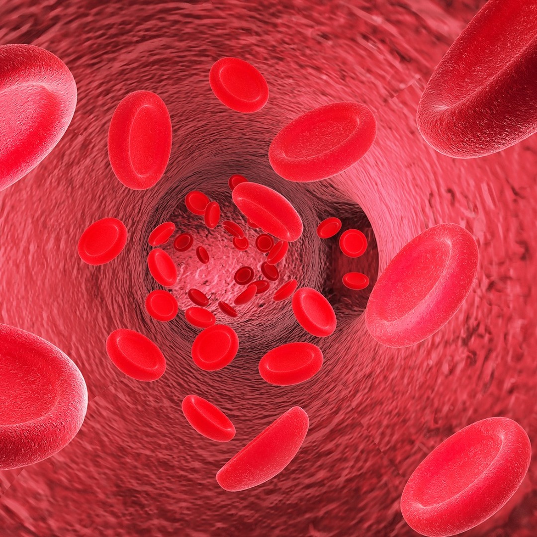 Stream Is Your Blood Toxic? - Radio Show Archive by Medical Medium ...