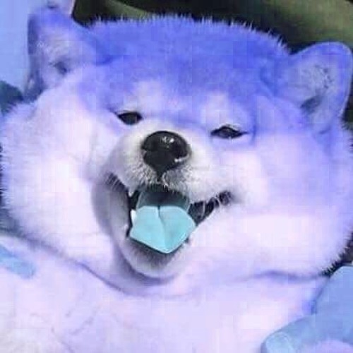 Listen to music albums featuring >Pascal the dog is here. (Shin Megami ...