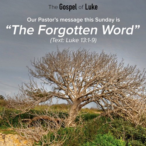 Stream The Gospel Of Luke The Forgotten Word Luke 13 1 9 By