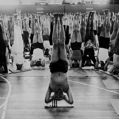 Stream 30. SALAMBA SIRSASANA (supported head balance pose) by Athene ...