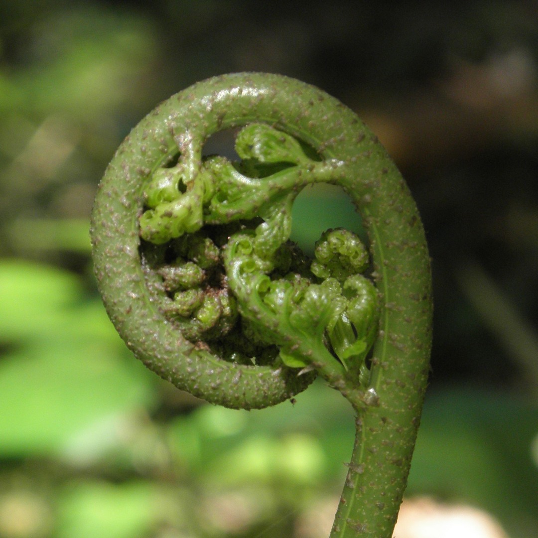 Stream episode Relaxation for sleep - Asmr by Nana asmr podcast ...