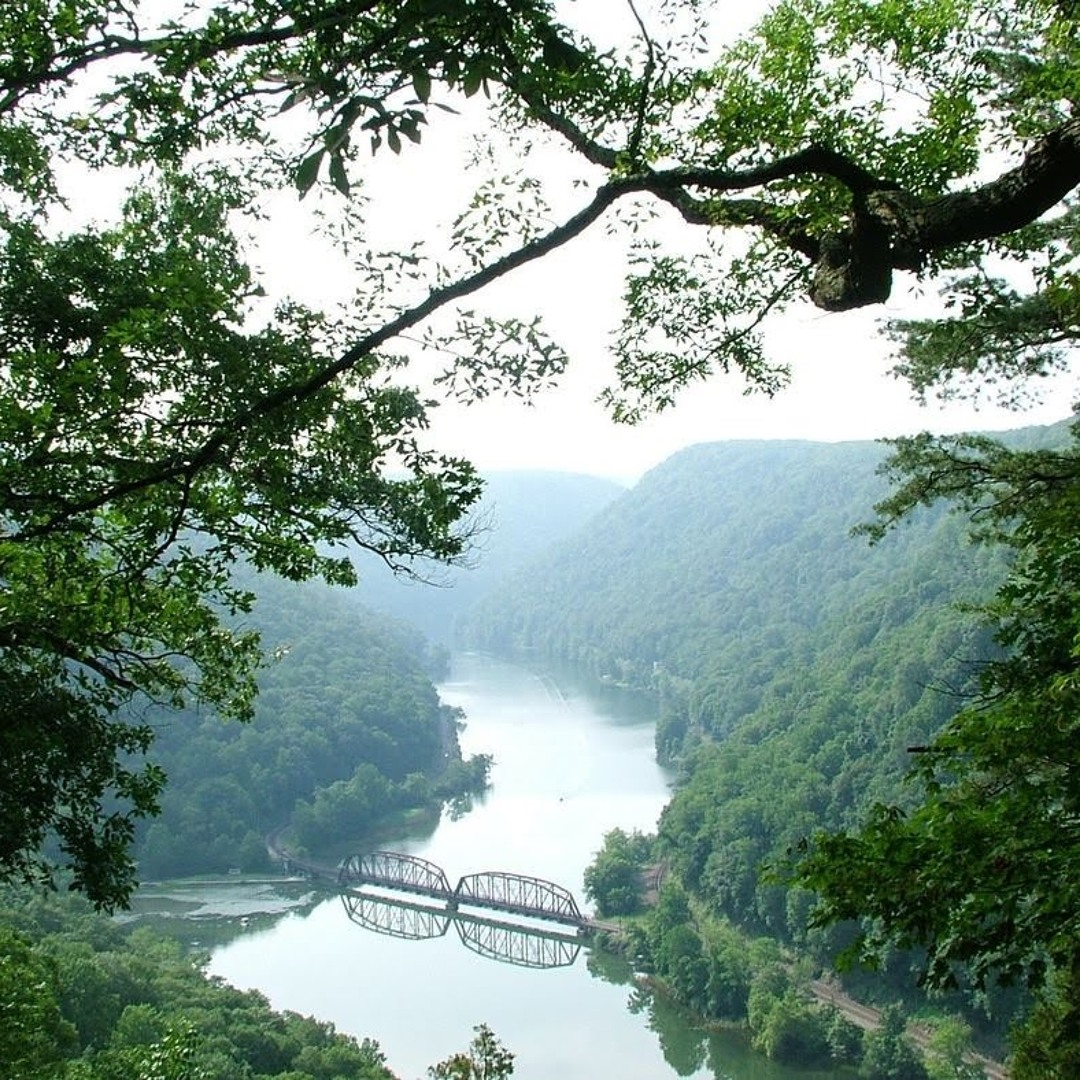 Stream Hillbilly Elegy's JD Vance Challenged in New Book on Appalachia ...