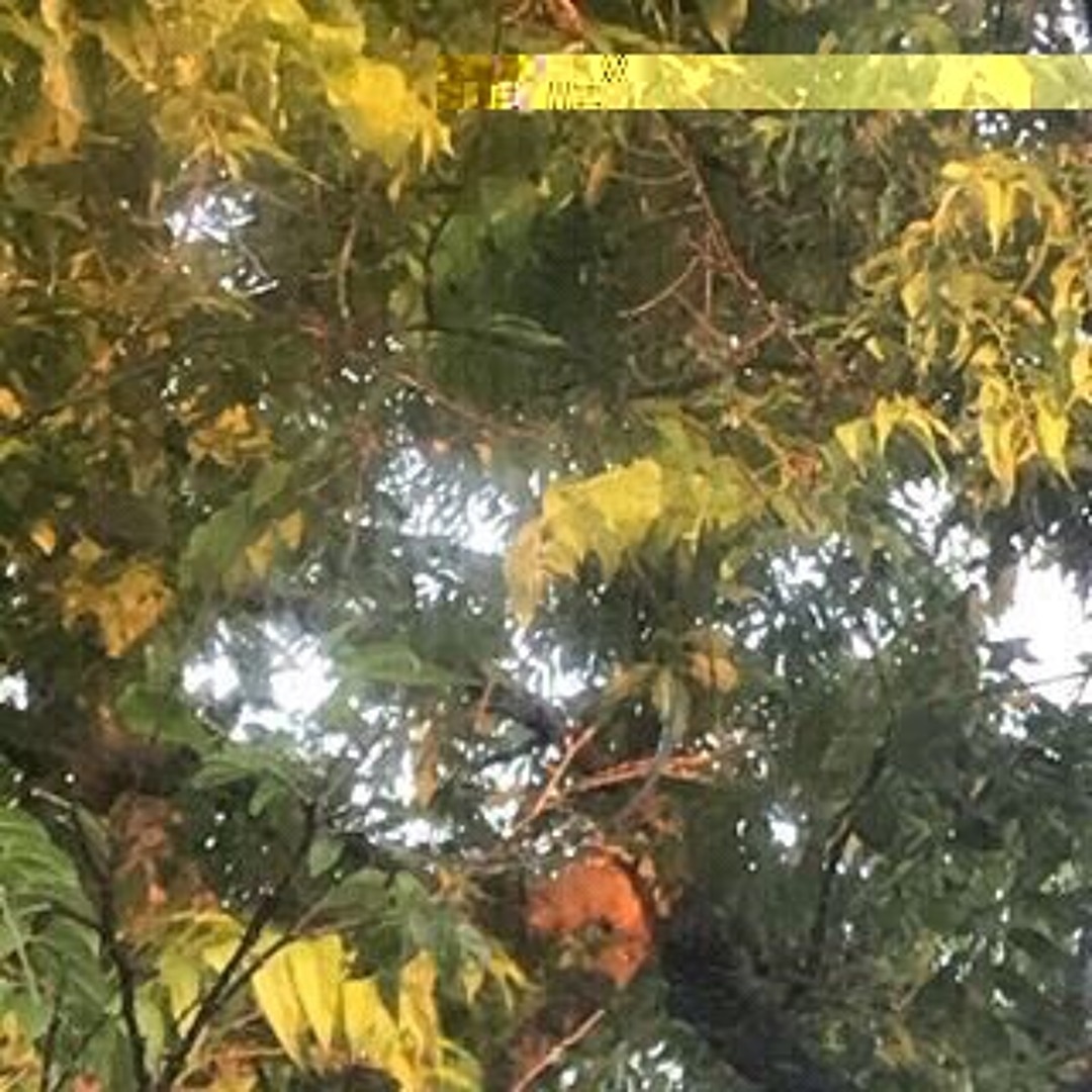 Stream Love (Never Let Me Go) (PROD. By Marv) by Marv | Listen online ...