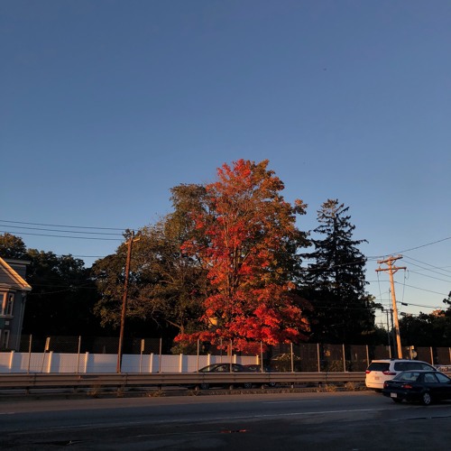 Stream weather is nice rn by mean lemur | Listen online for free on ... Stream weather is nice rn by mean lemur | Listen online for free on ...