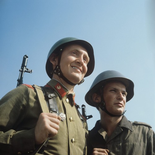 Stream Dore Alpert - Fallout Shelter by Frankie | Listen online for ...