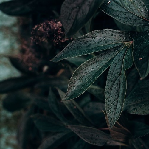 Stream Trio Fahmi Riahi قلبي تعب by GHOFN | Listen online for free on ...