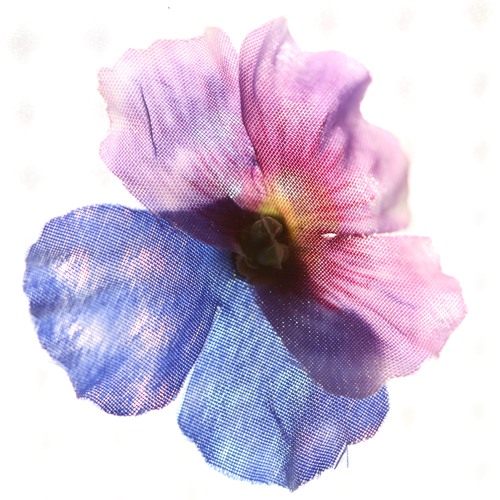 Stream Bitter - Tash Maxwell by Tash Maxwell | Listen online for free ...