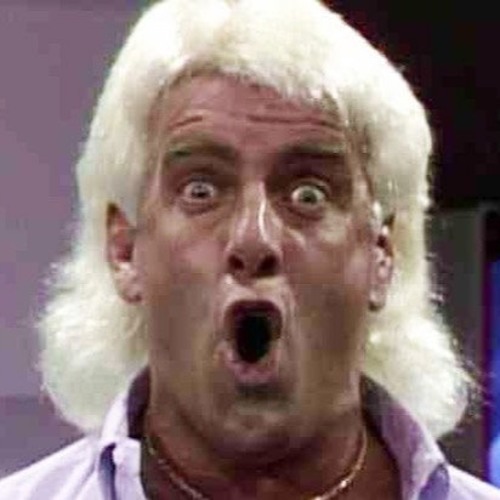 Stream RIC FLAIR FLIP w/ DONNY AUGUSTINE [RIC FLAIR DRIP - OFFSET/METRO ...