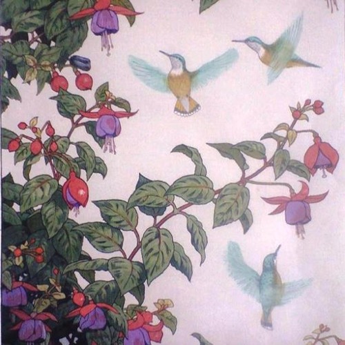 Stream Fuchsia by Evan Gunderson | Listen online for free on SoundCloud