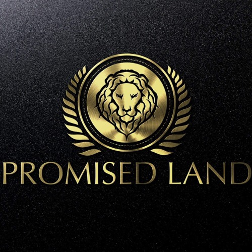 Stream Promised Land Sound Vol #1: Life At 145 (Shotta Mix) by Promised ...