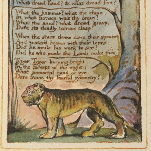 Stream Forest of the Night by Richard Peat Composer | Listen online for ...