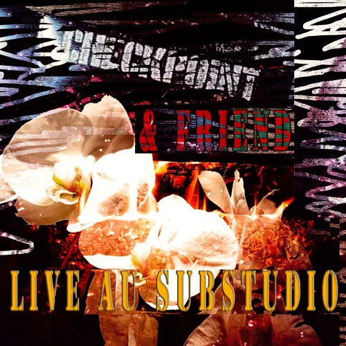 Stream 10- Checkpoint- Evolution (CHECK're Alright) -Vitry S S Seine ...