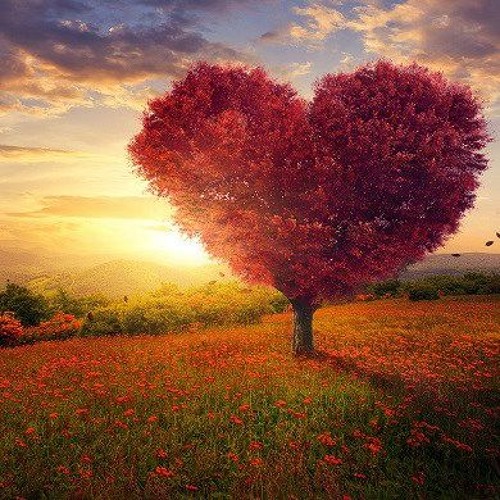 Stream Deeds of the Heart - Dawud Adib [Audio|En] by AbdurRahman.org ...