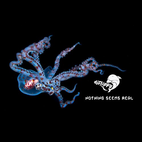 Stream djFlippy - Nothing Seems Real (Massappeals x Liquor Jim Remix ...
