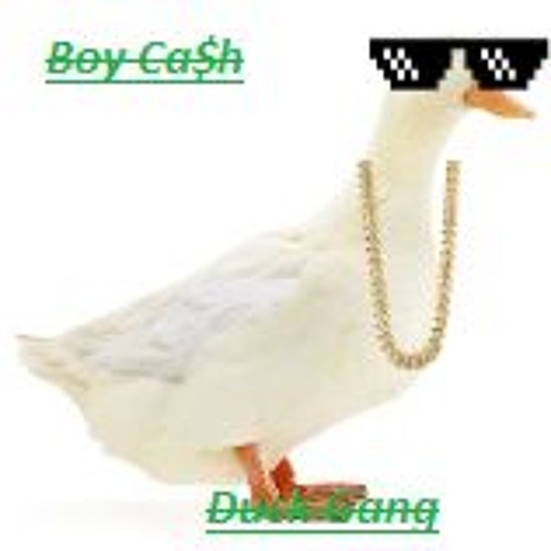 Stream Boy Ca$h - Duck Gang by G-Breezy Penguin | Listen online for ...